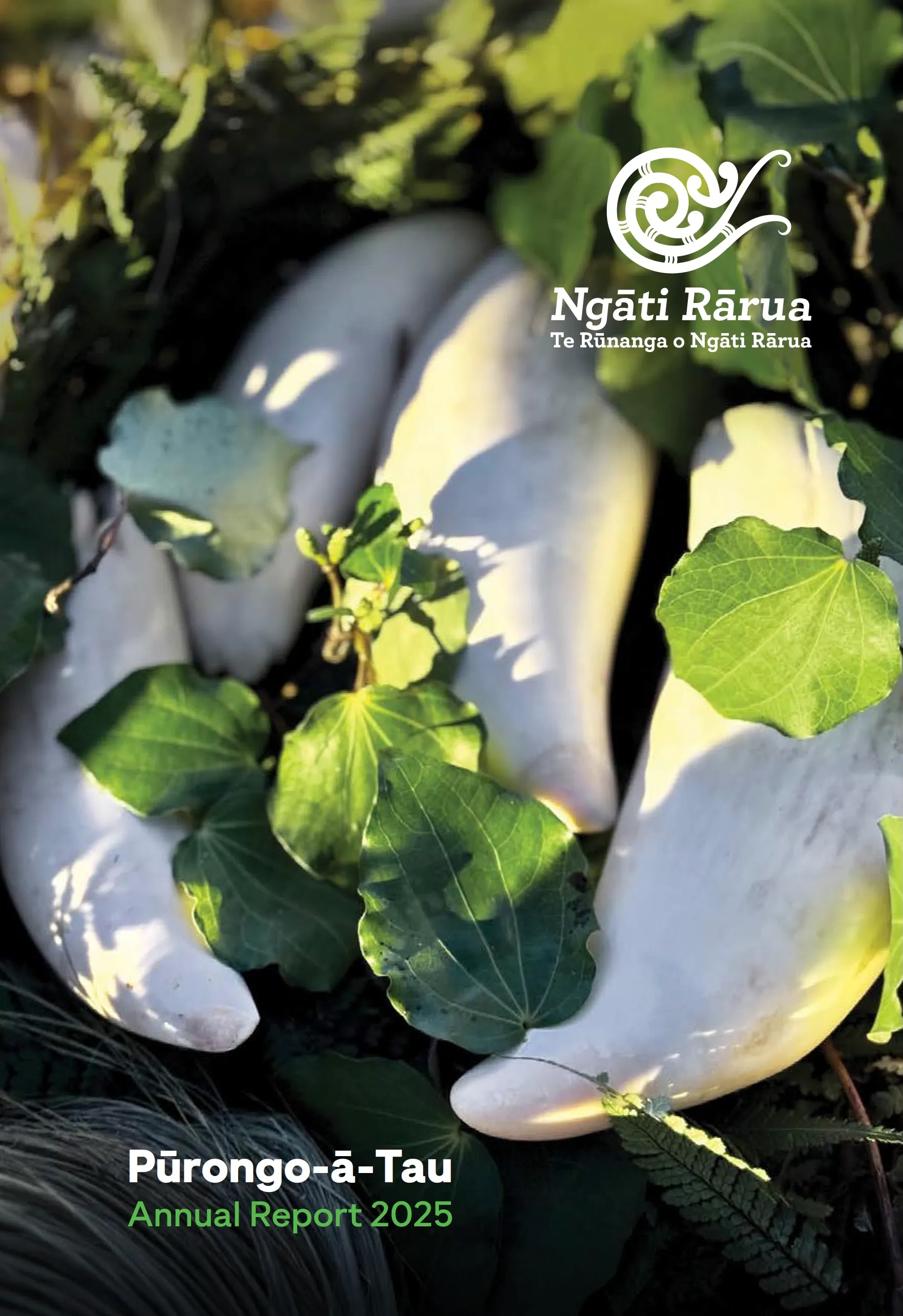 Nau mai, haere mai e te whānau, welcome to Te Rūnanga o Ngāti Rārua